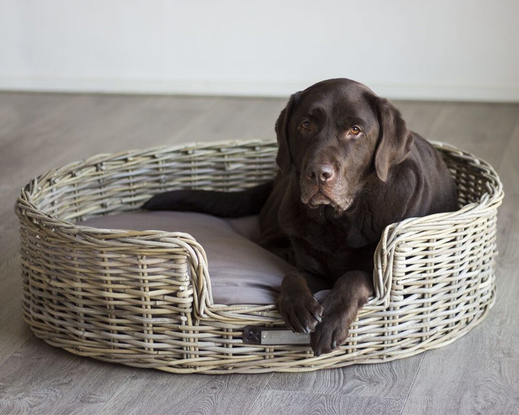 Rieten Hondenmand Kopen ️ Rotan Mand op Pootjes | 123hondenmand.nl